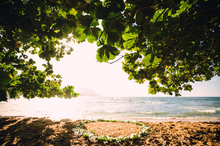 Keri + Drew – Ali'i Kaua'i Weddings
